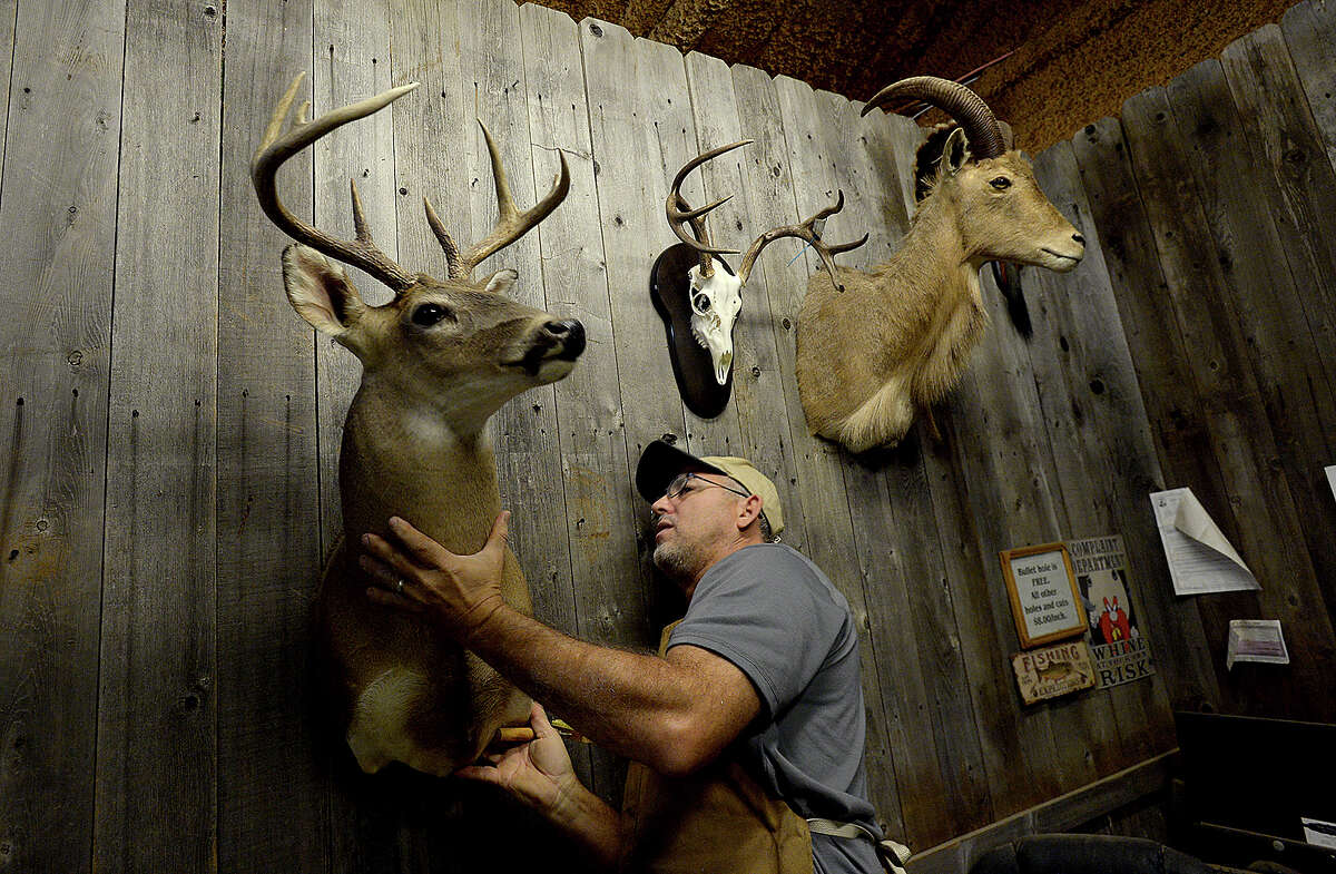 Mid-County comedian turns taxidermist even though he loved hecklers