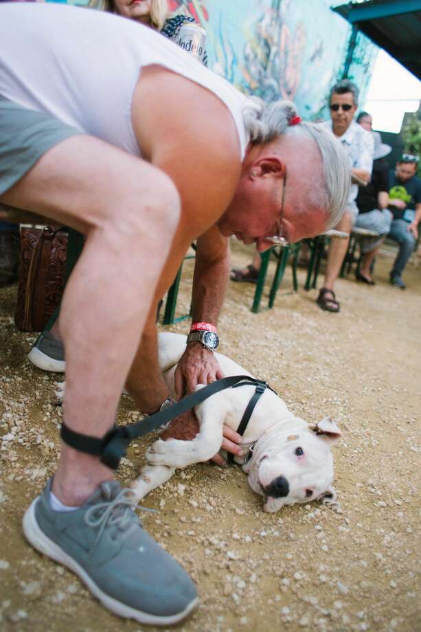 Photos: Cinco de Mayo Tex Mex Bash 2018 at Paper Tiger - mySA