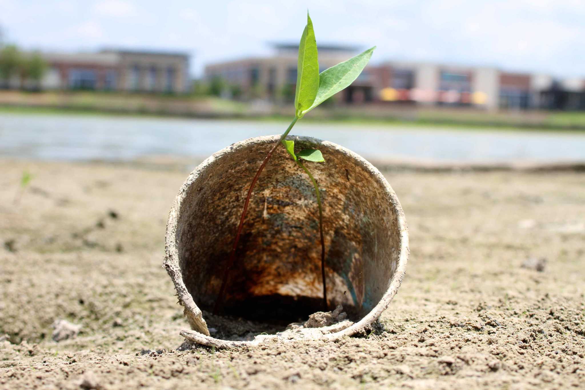 Infrastructure improvement key to water sufficiency