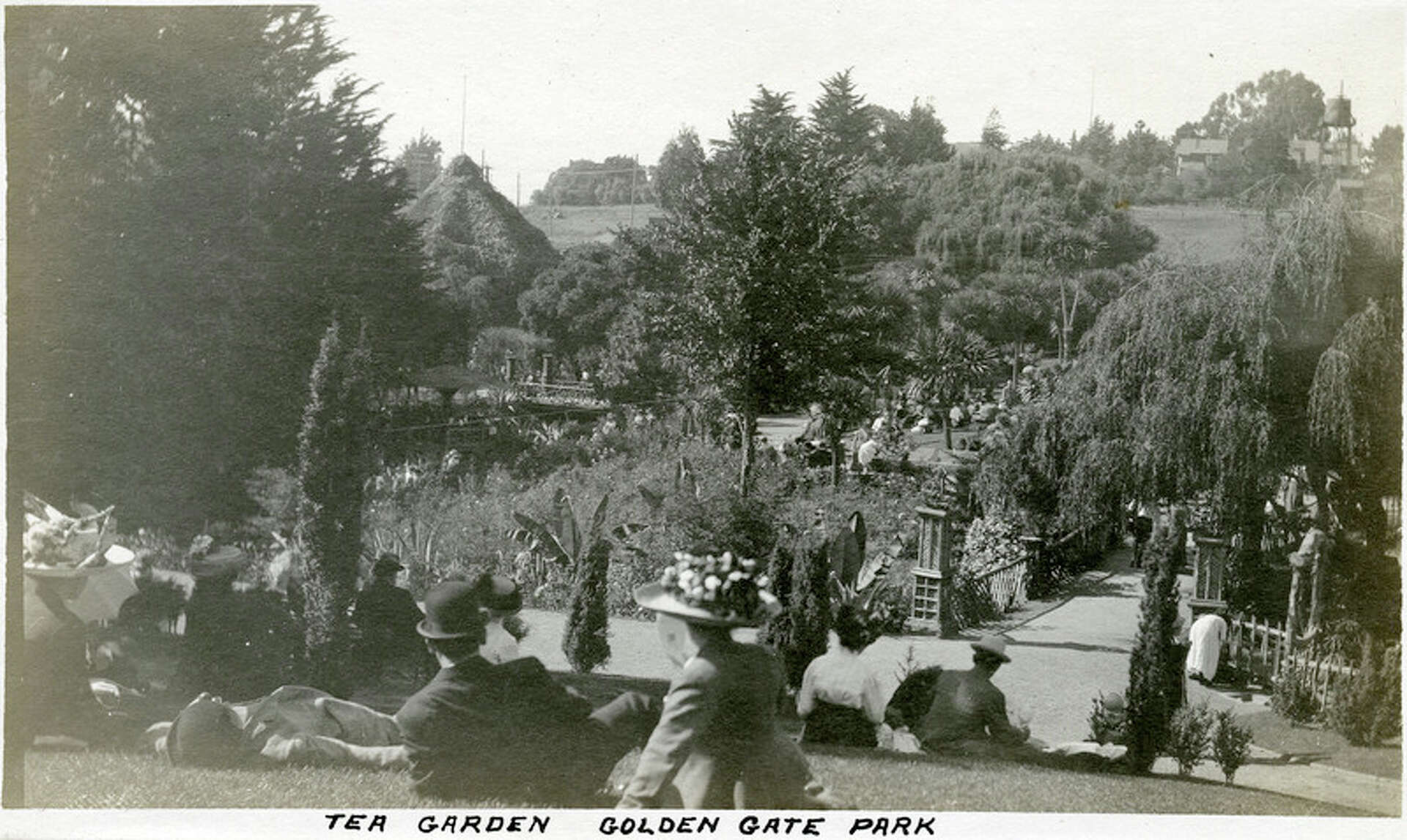 Horses in the back: Now you can ride a horse in Golden Gate Park