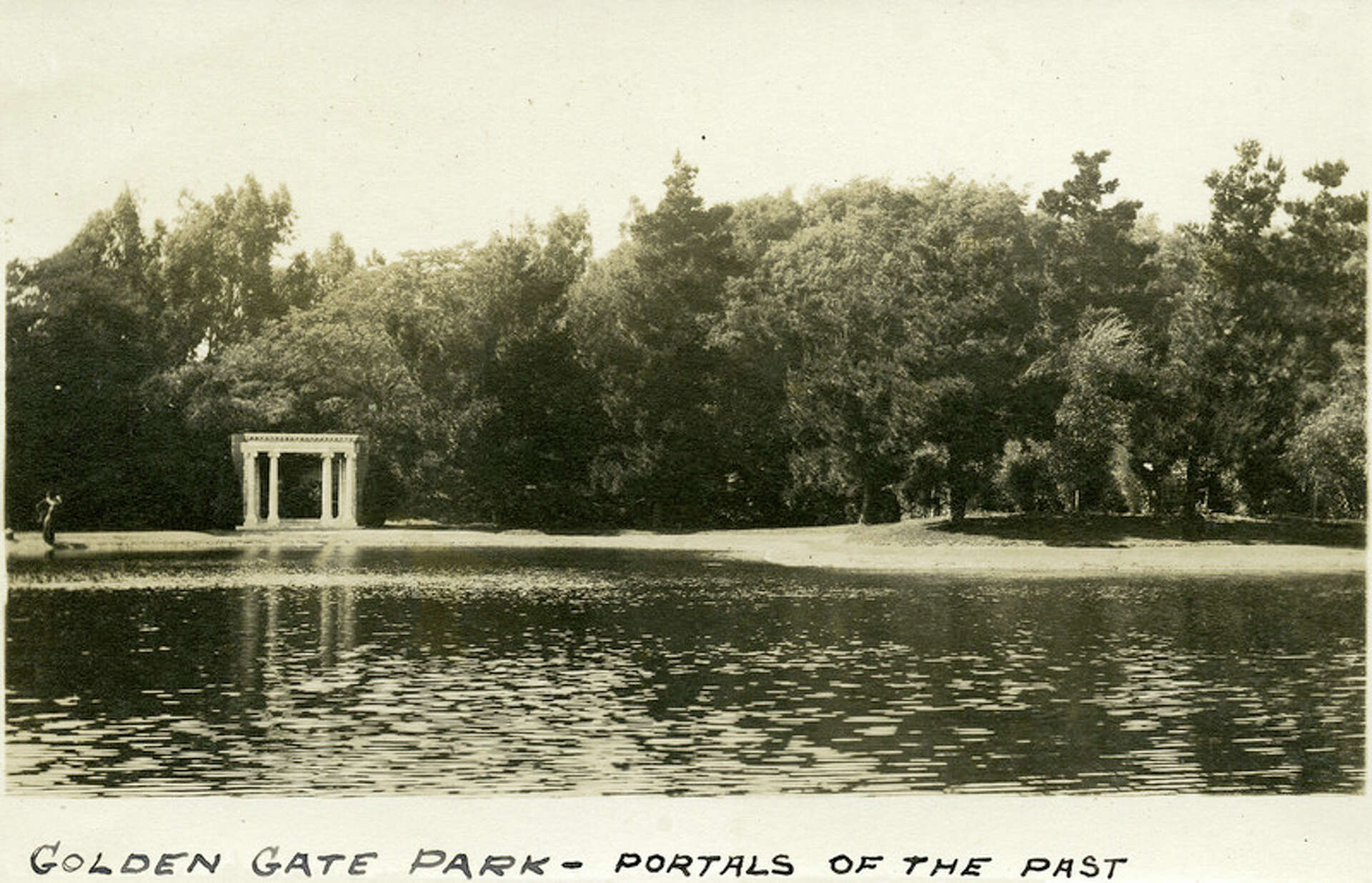 Horses in the back: Now you can ride a horse in Golden Gate Park