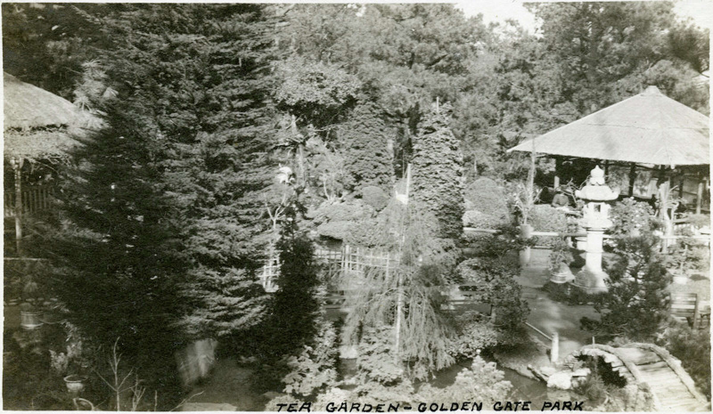 Horses in the back: Now you can ride a horse in Golden Gate Park