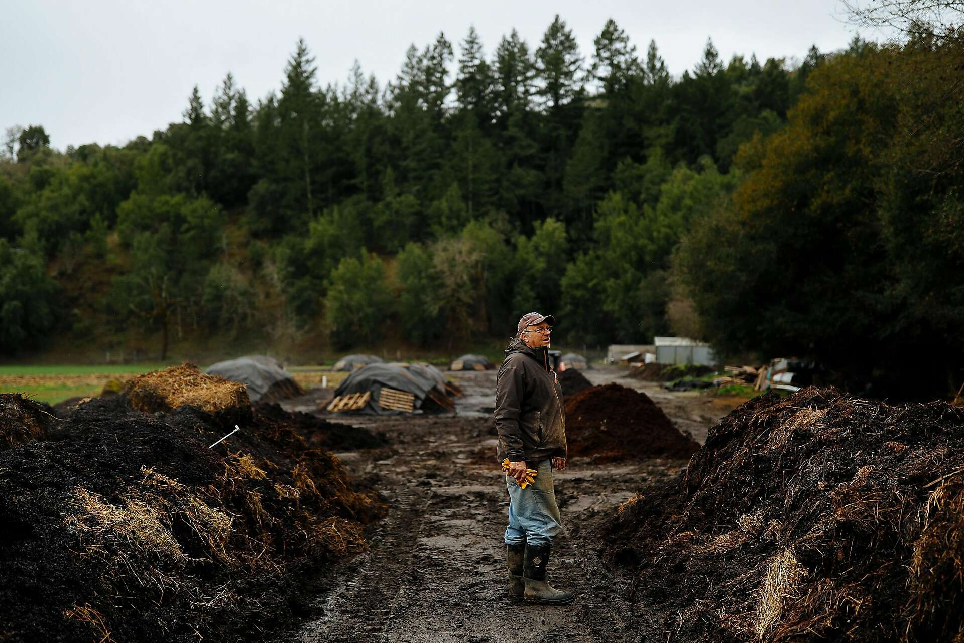 Report: America is losing its best farmland