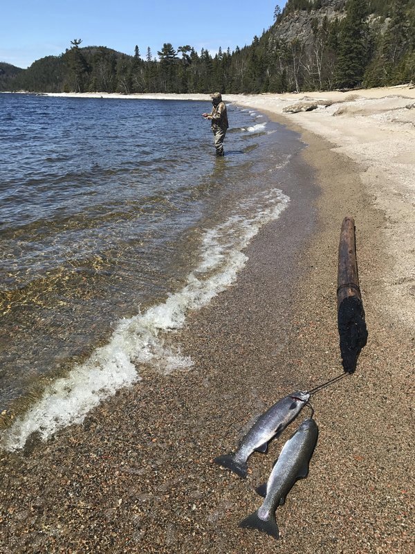 Steve Griffin: A few fulfilling days fishing the Superior shore