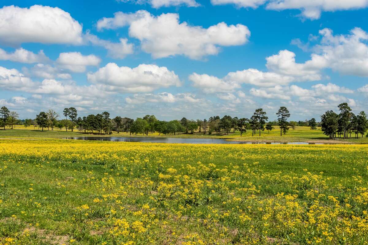 Saloon, private lake, and a personal peach orchard all come with ...