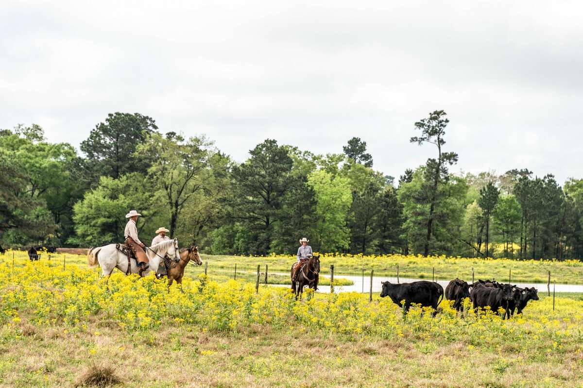 Saloon, private lake, and a personal peach orchard all come with ...