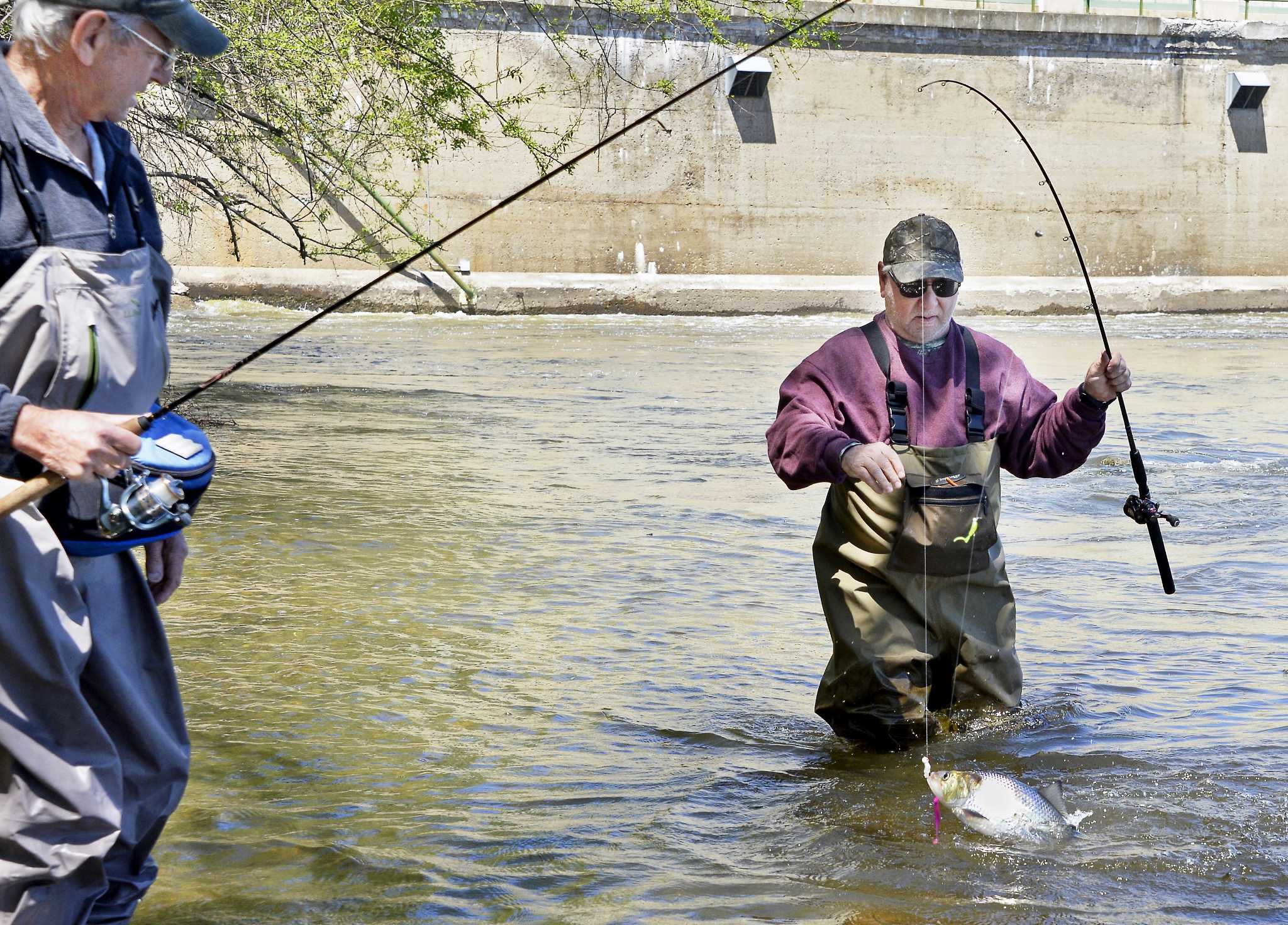 Photos: Friday fishing
