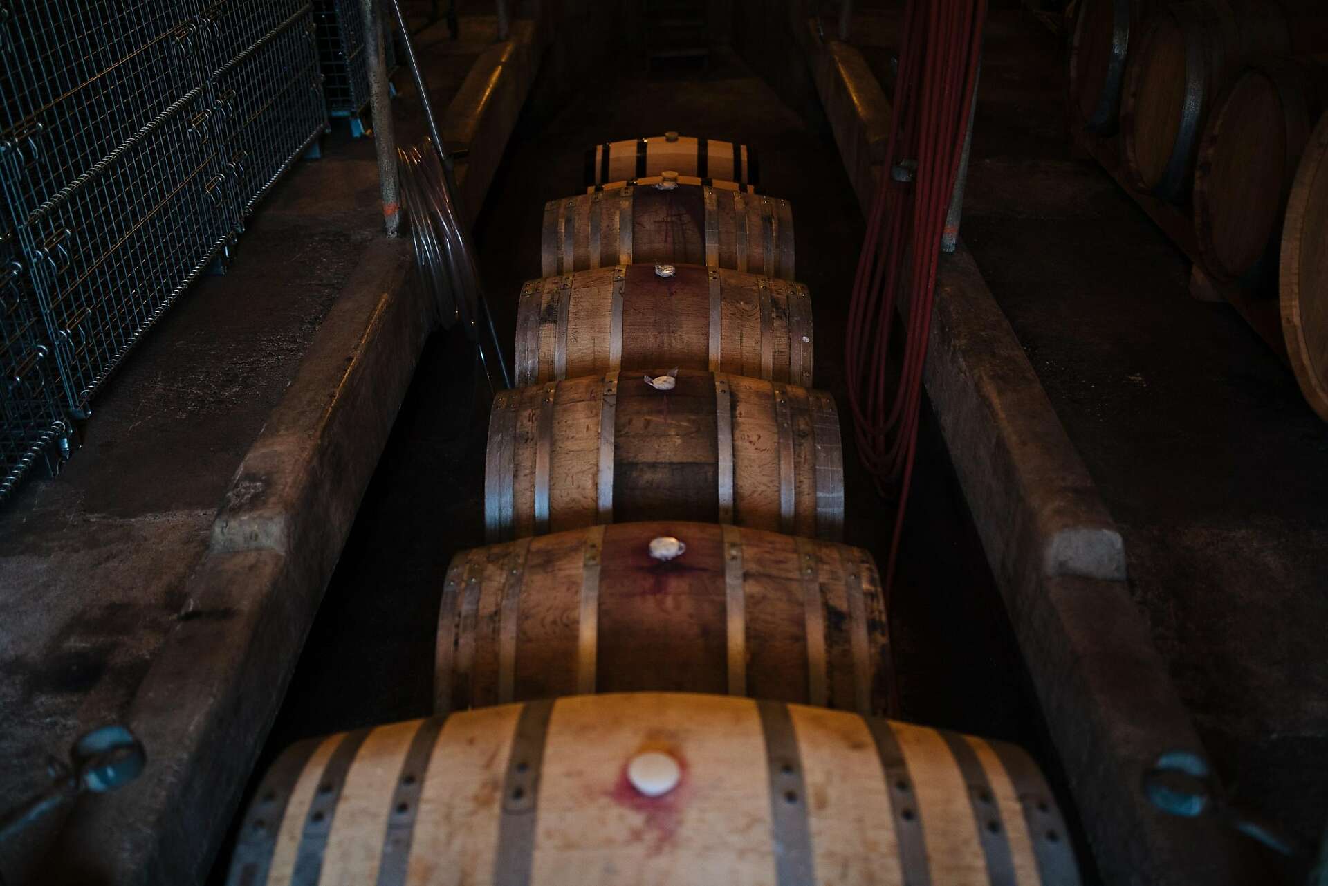 Point Reyes winery embodies “natural wine” movement