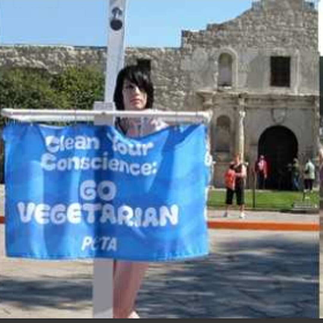 Video: Streaker at the Alamo tackled by ranger in front of tourists ...