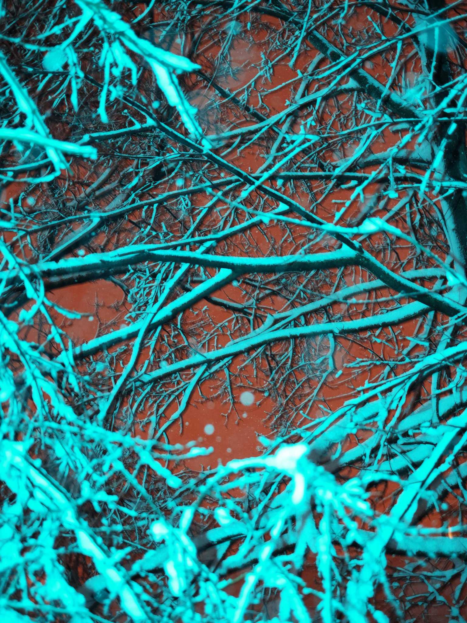 Five Points Annex Show Features Photography