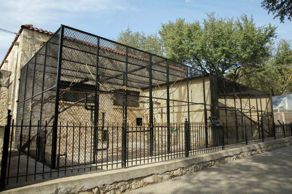 San Antonio Zoo closing monkey habitat for renovation