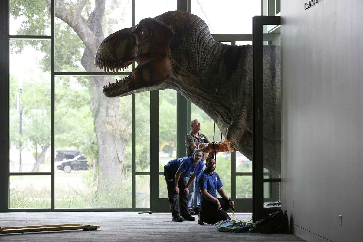 Sneak peek: ‘Predator vs. Prey’ dinosaurs at the Witte Museum