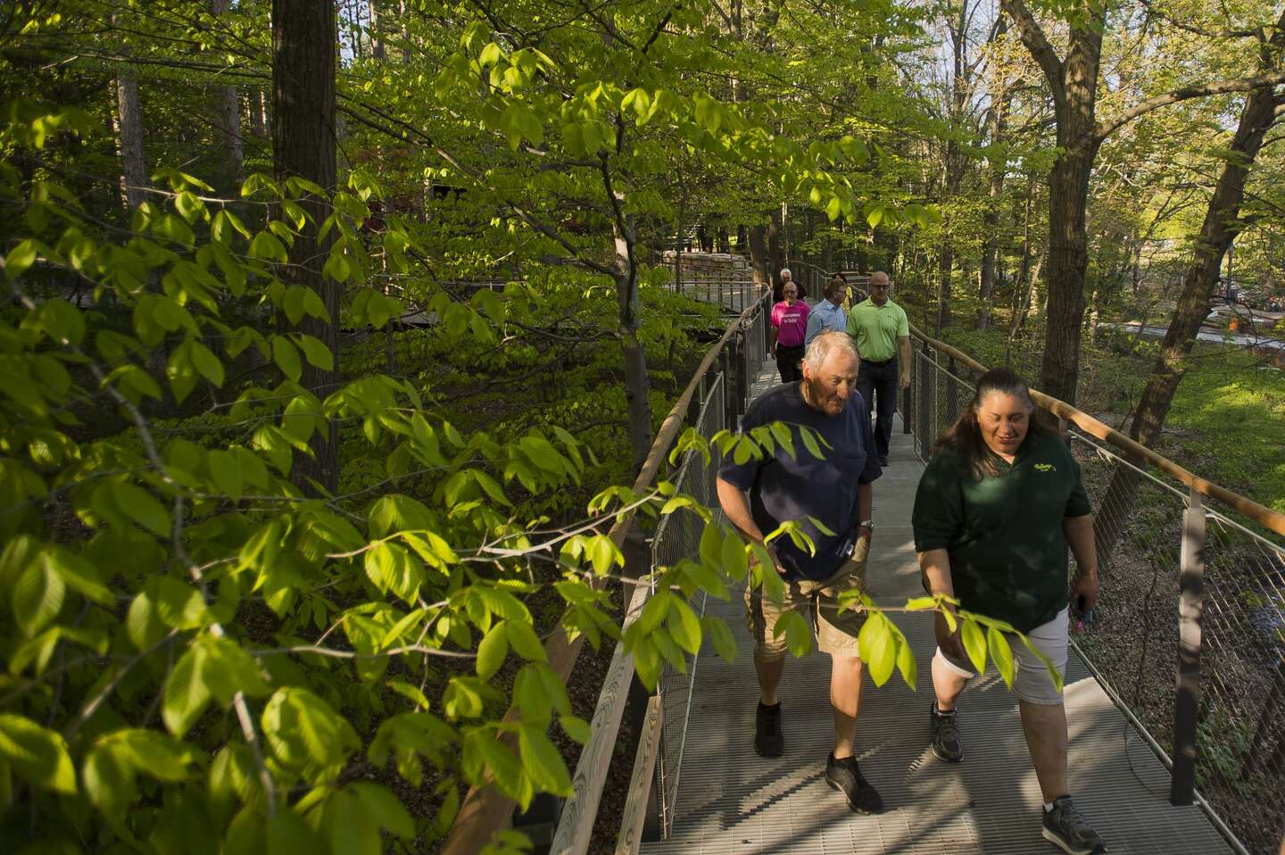 Longest canopy walk in the U.S. opens this October in Midland