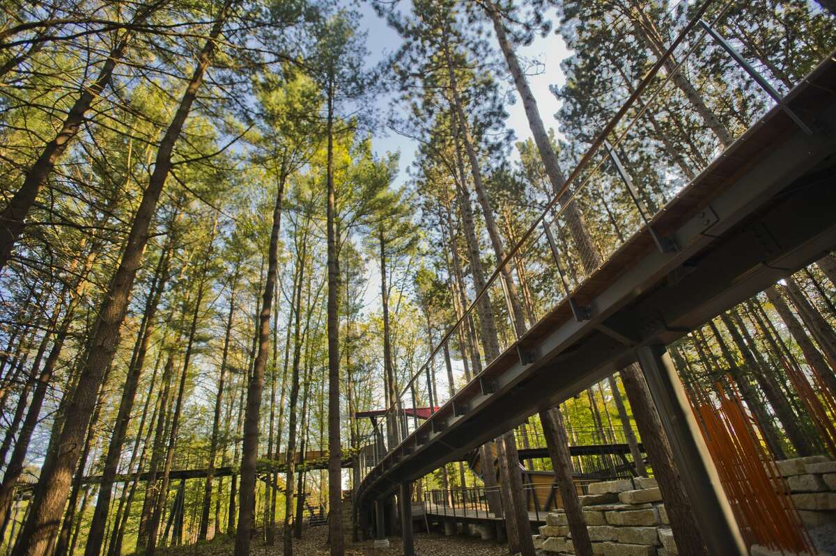 Longest canopy walk in the U.S. opens this October in Midland