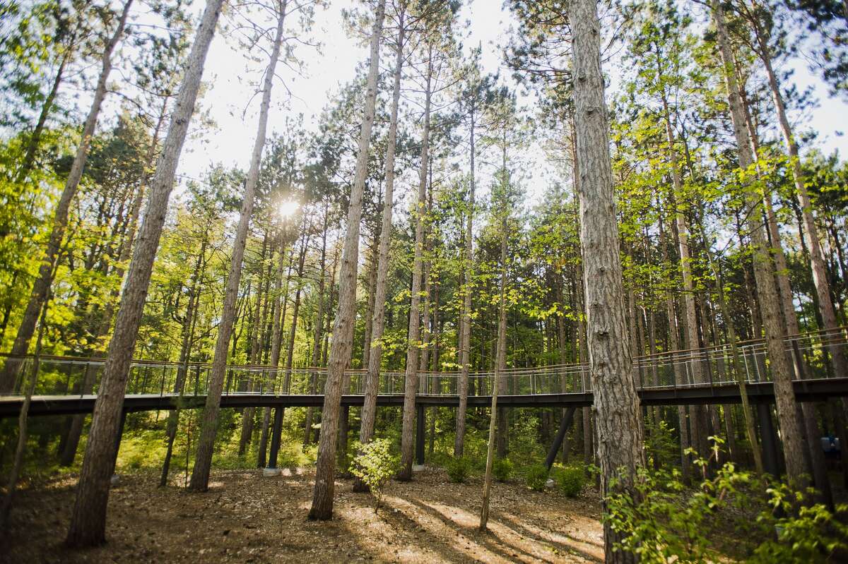 Longest canopy walk in the U.S. opens this October in Midland