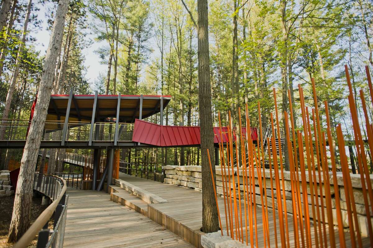 Longest canopy walk in the U.S. opens this October in Midland