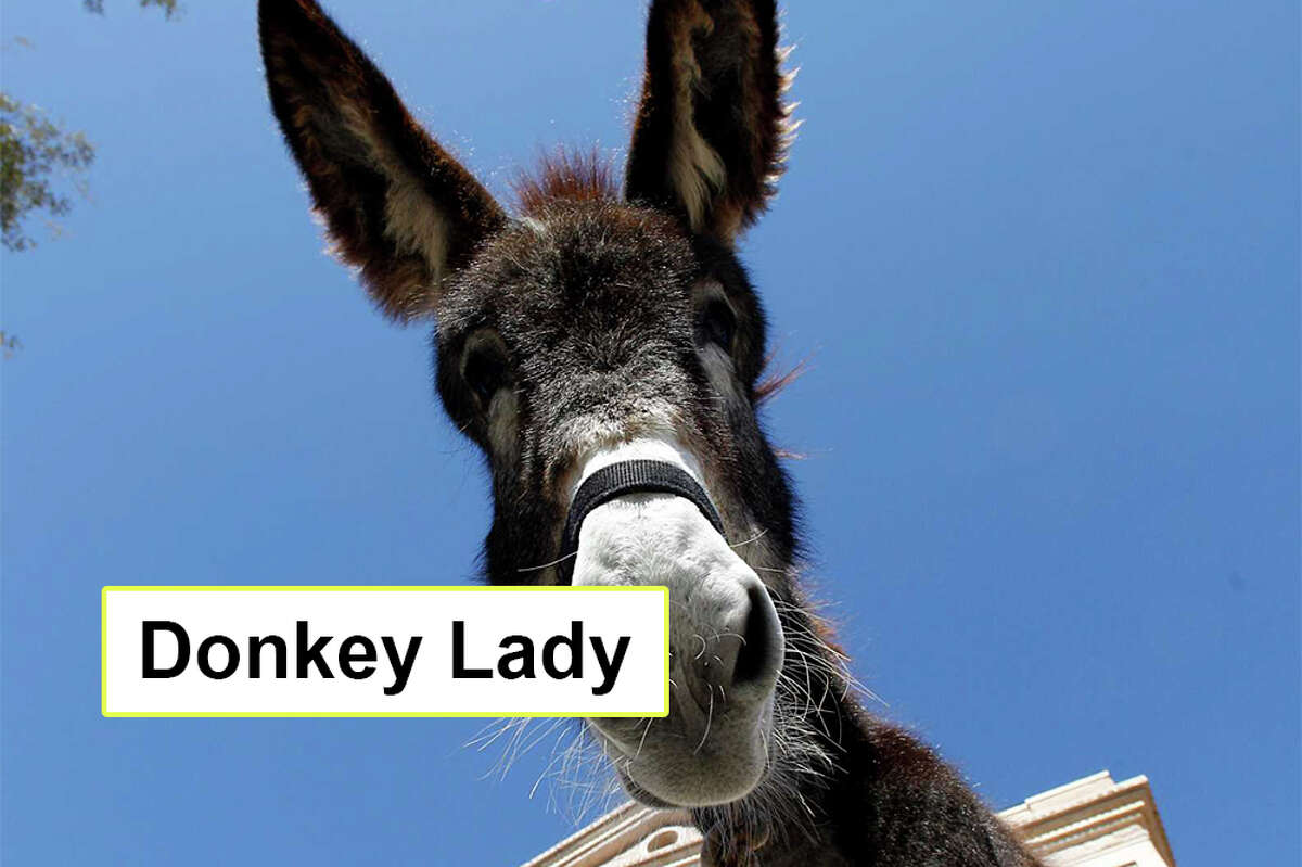 Slang you'll only know if you're a San Antonian