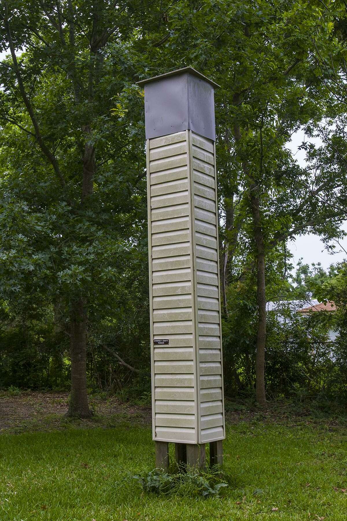 Chimney swifts scoop up unwanted insects