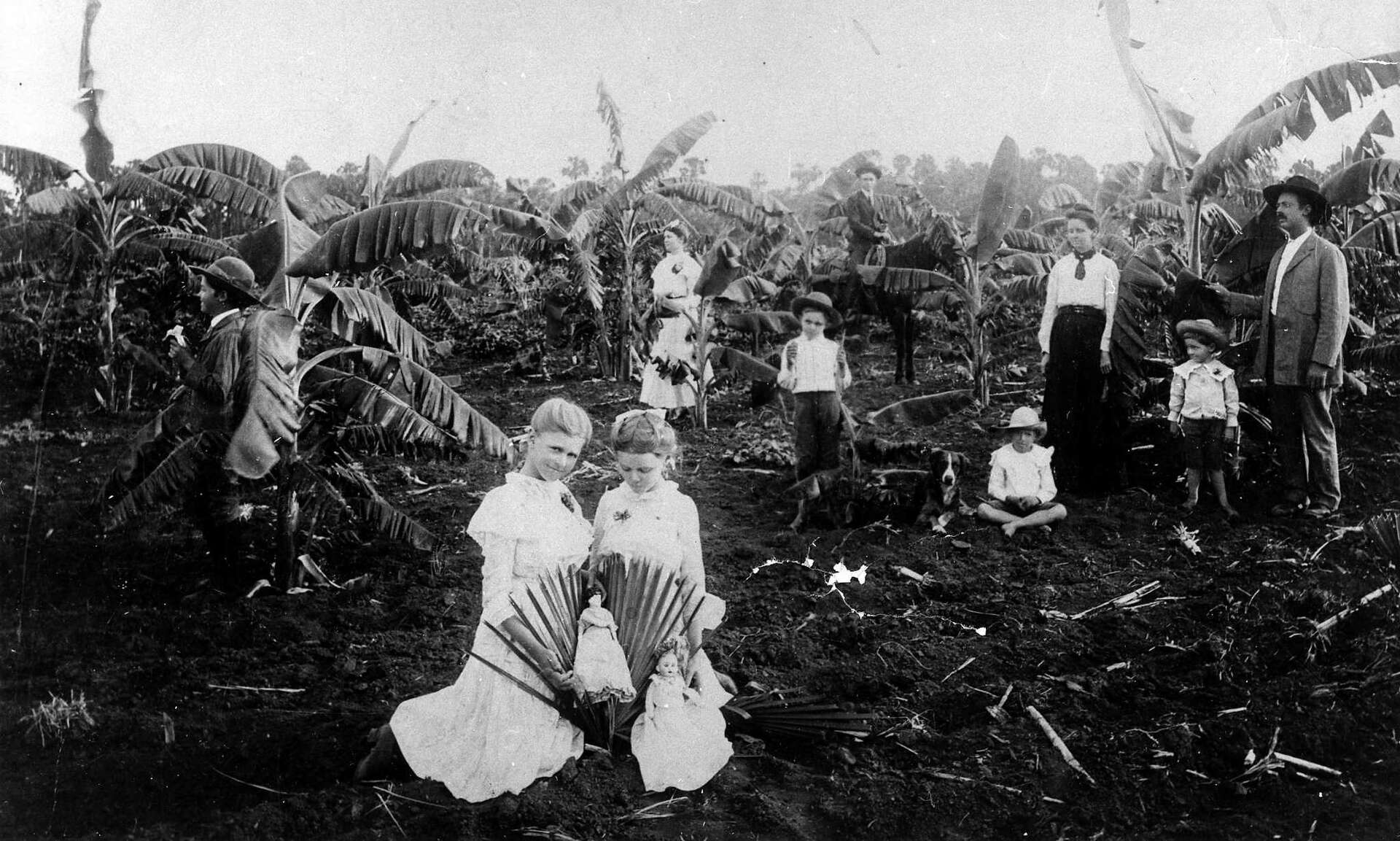 The untold story of an American colony thriving in Mexico a century ago ...