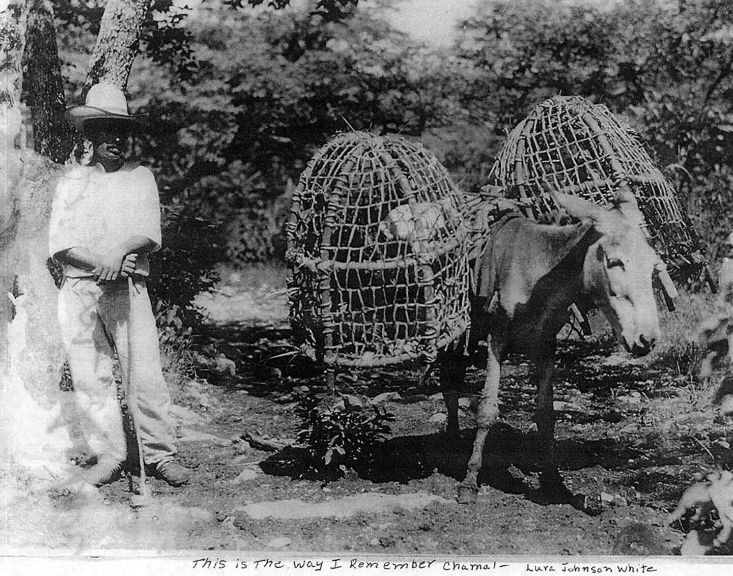 The untold story of an American colony thriving in Mexico a century ago ...