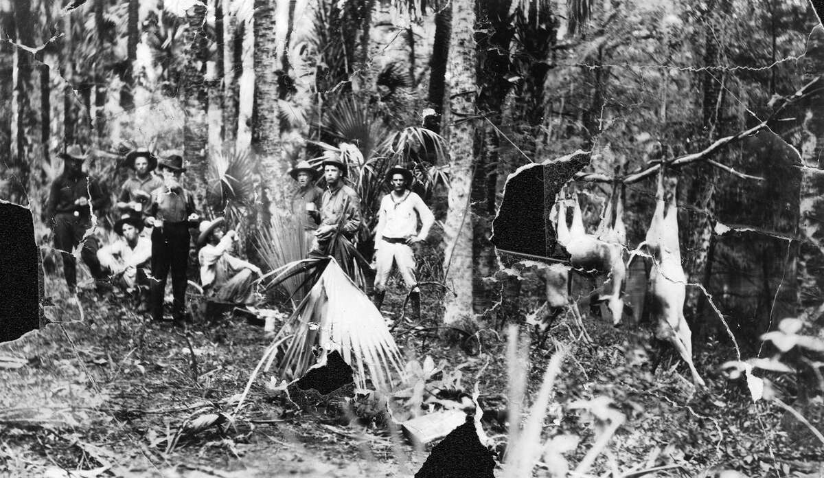 The untold story of an American colony thriving in Mexico a century ago ...