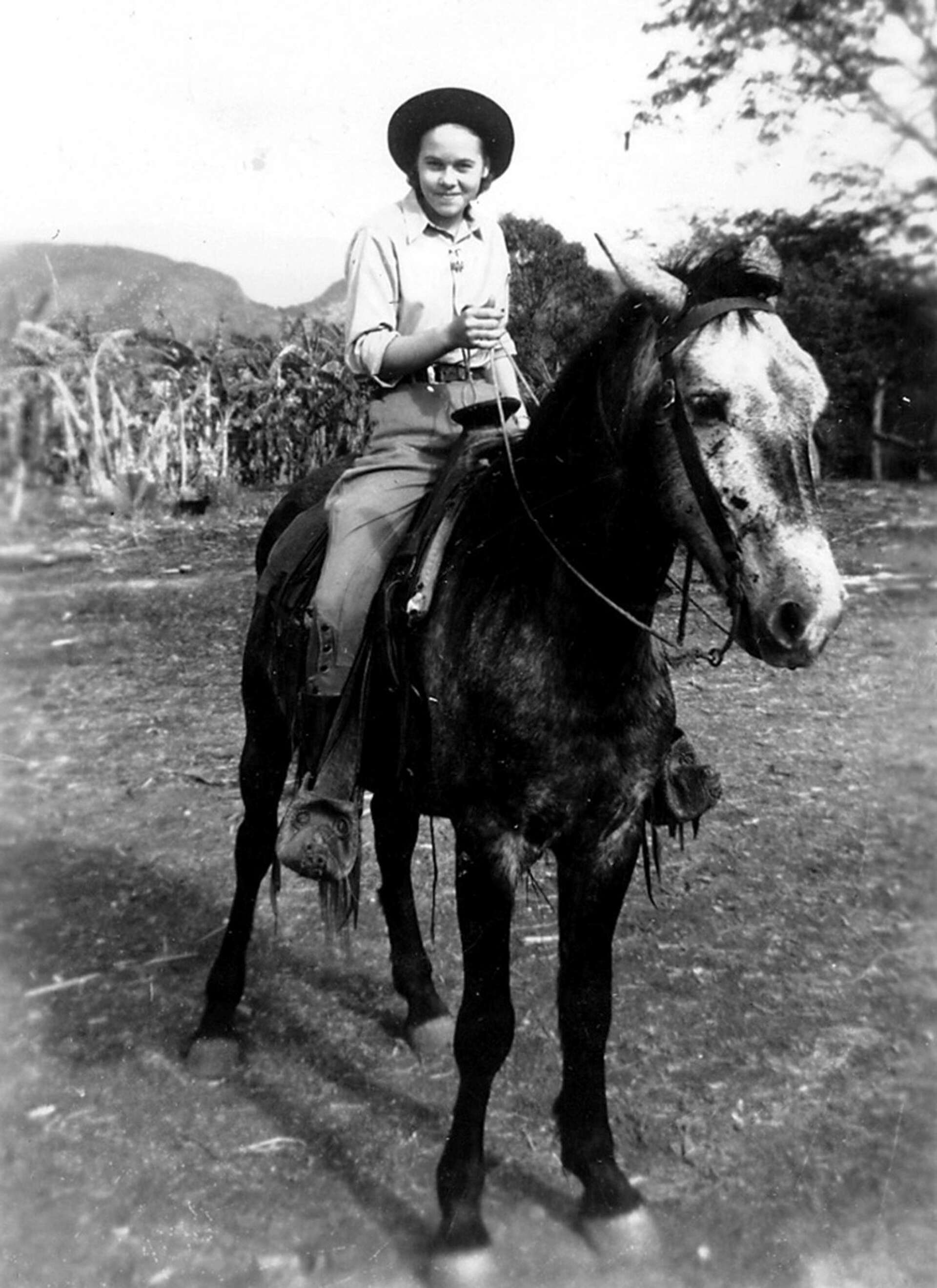 The untold story of an American colony thriving in Mexico a century ago ...