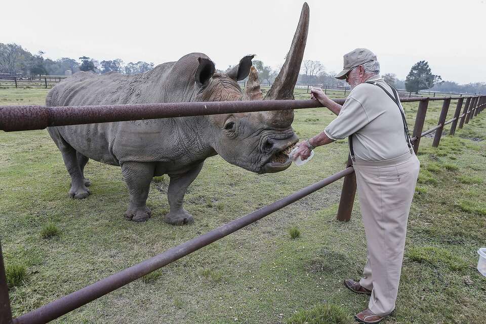 Things to do near Houston: 100 picks within 100 miles