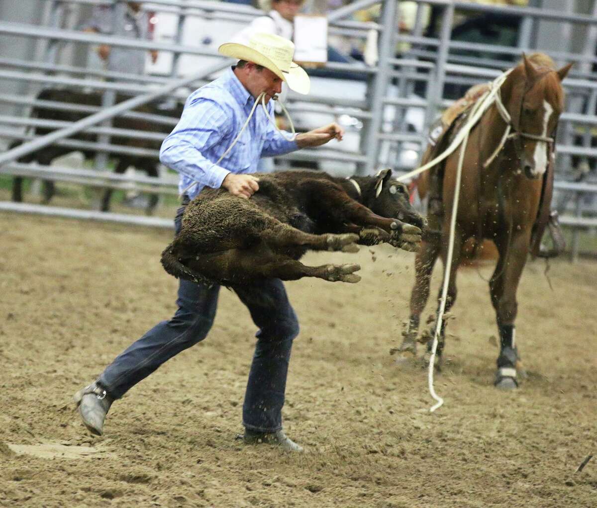 Dayton FFA hosts annual rodeo