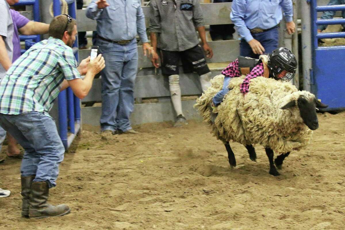 Mutton Bustin’ is baa-ck at the Houston Rodeo, registration now open