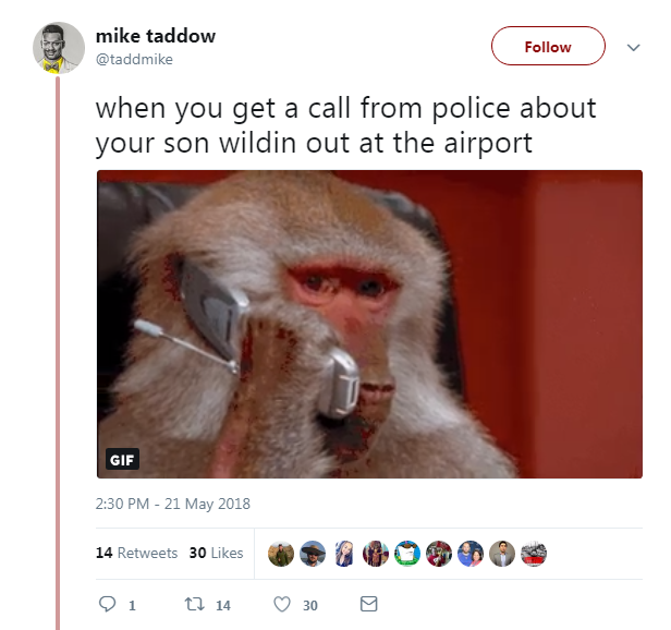 Twitter goes bananas over monkey escape: 'These are the moments Twitter ...