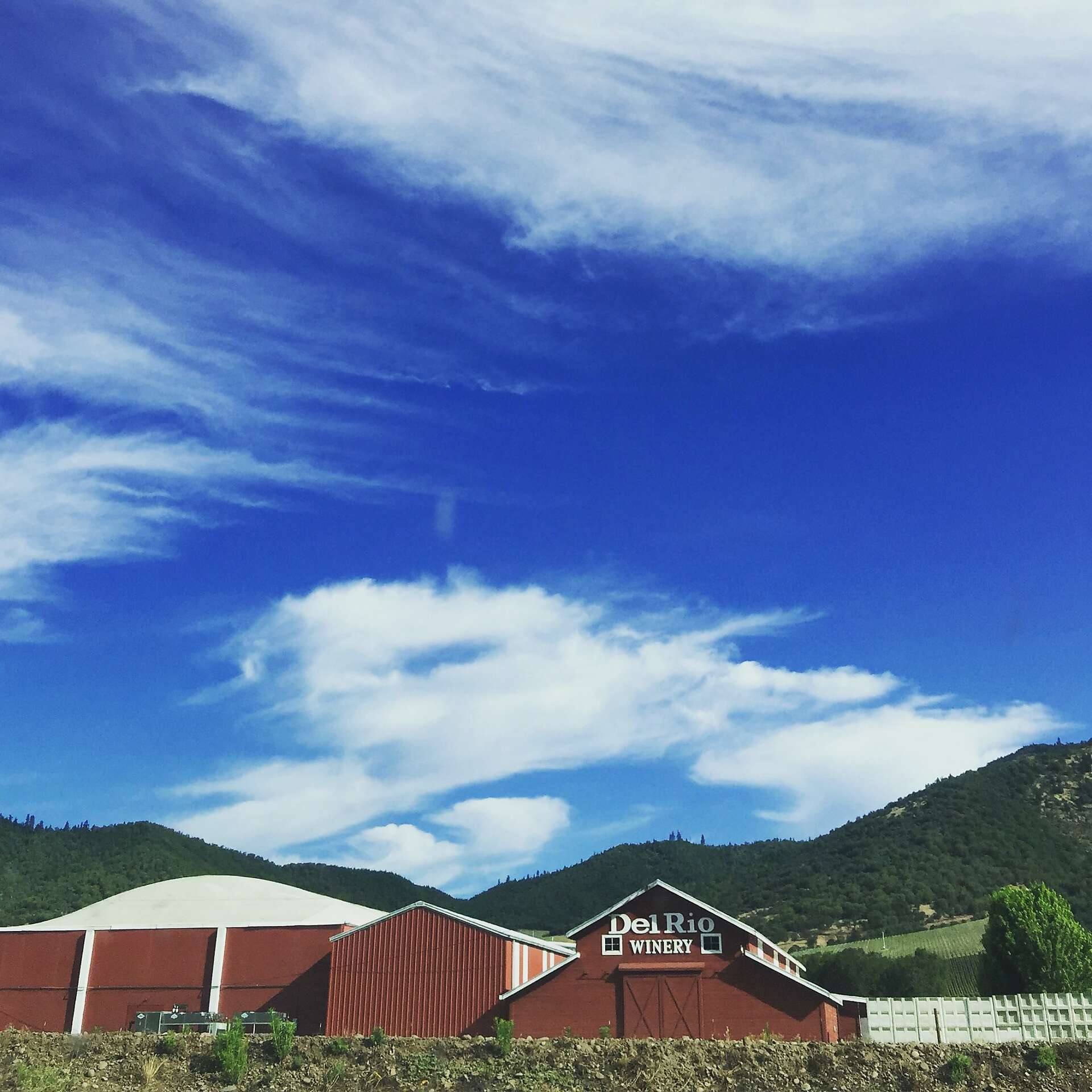 5 must-see vineyards around Oregon’s Rogue Valley