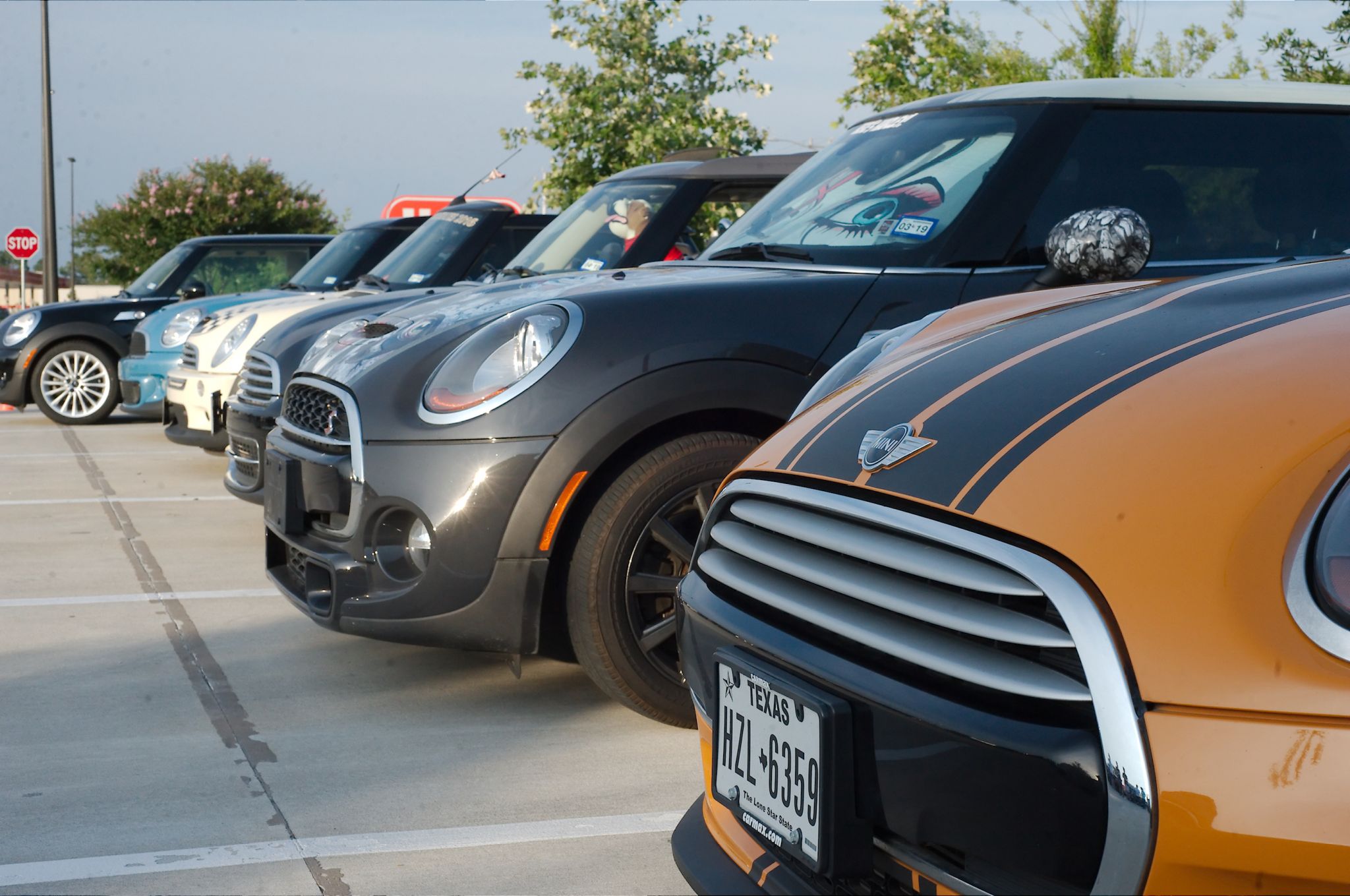 Bay Area MINI Cooper owner’s group rolls in Clear Lake