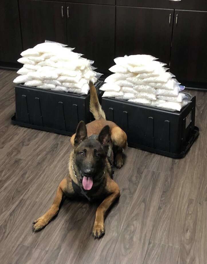 California police dog finds 60 pounds of meth during its first drug ...