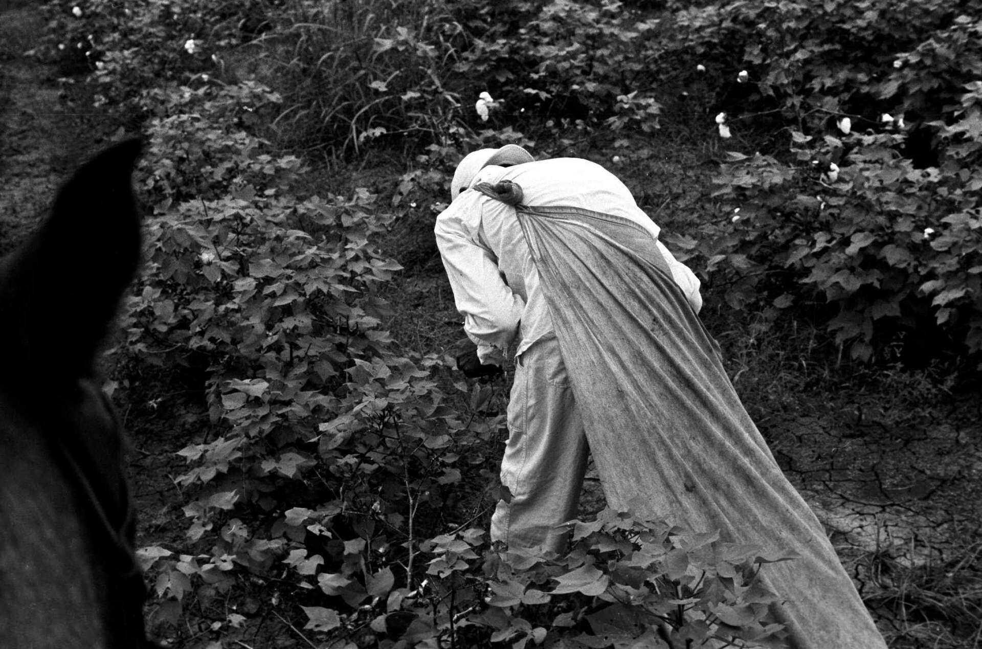 Former Texas inmate’s story proves to be a page turner