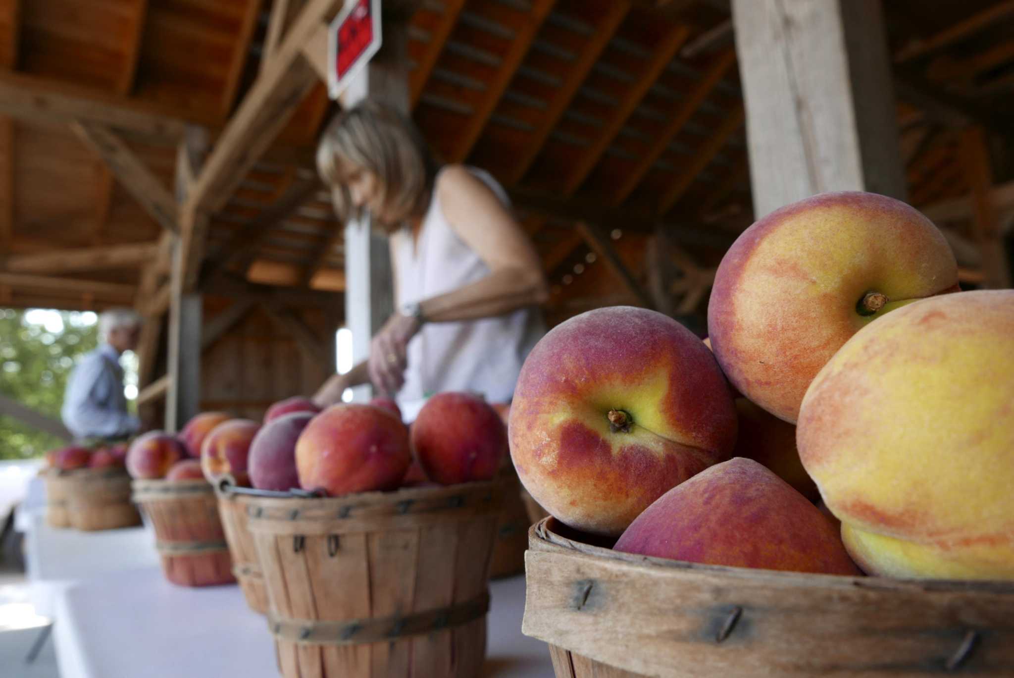 Peach lovers rejoice: Hill Country having one of the best harvests in years