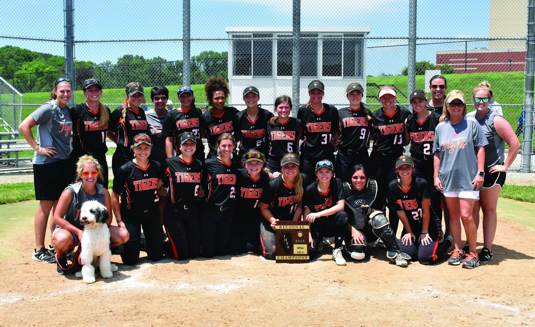 SOFTBALL: Tigers returning home to face Lancers