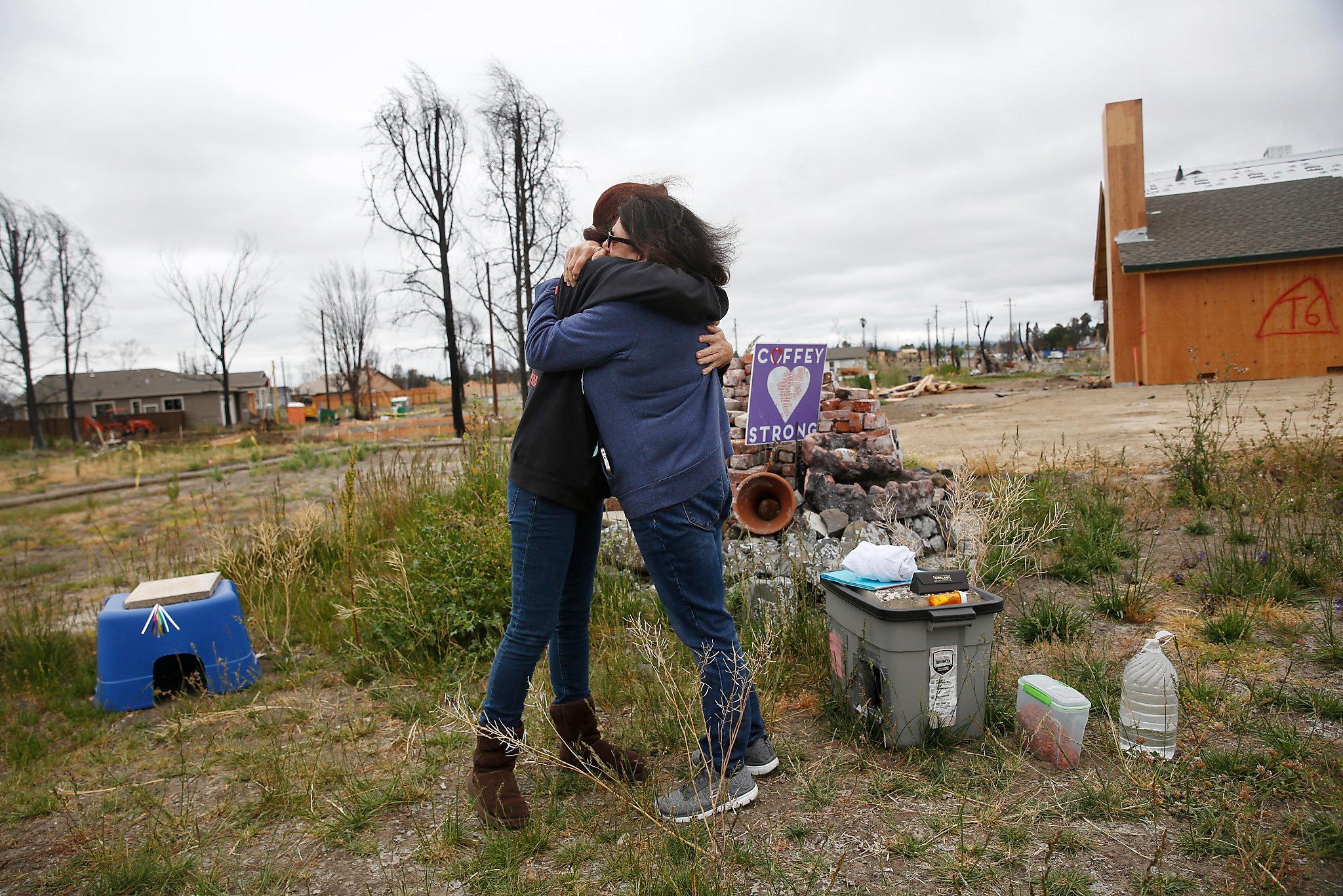 The quest to save feline fire refugees: Rescuers stalk burned-out Santa ...