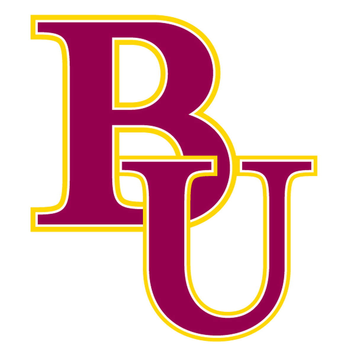 BISD introduces Timberwolves mascot