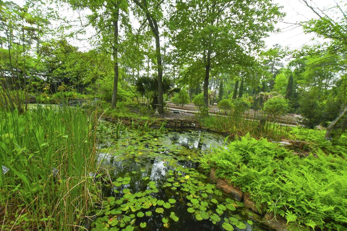 Mercer Botanic Gardens set to teach families about plants with children ...