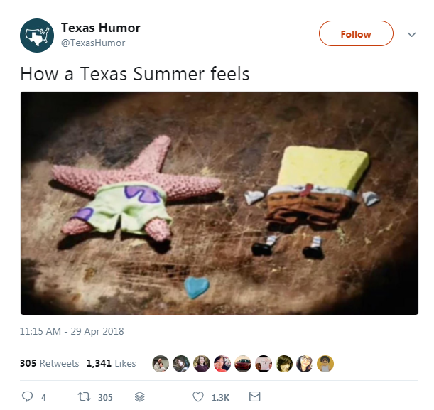 Photos: When you can't help but laugh at the Texas heat