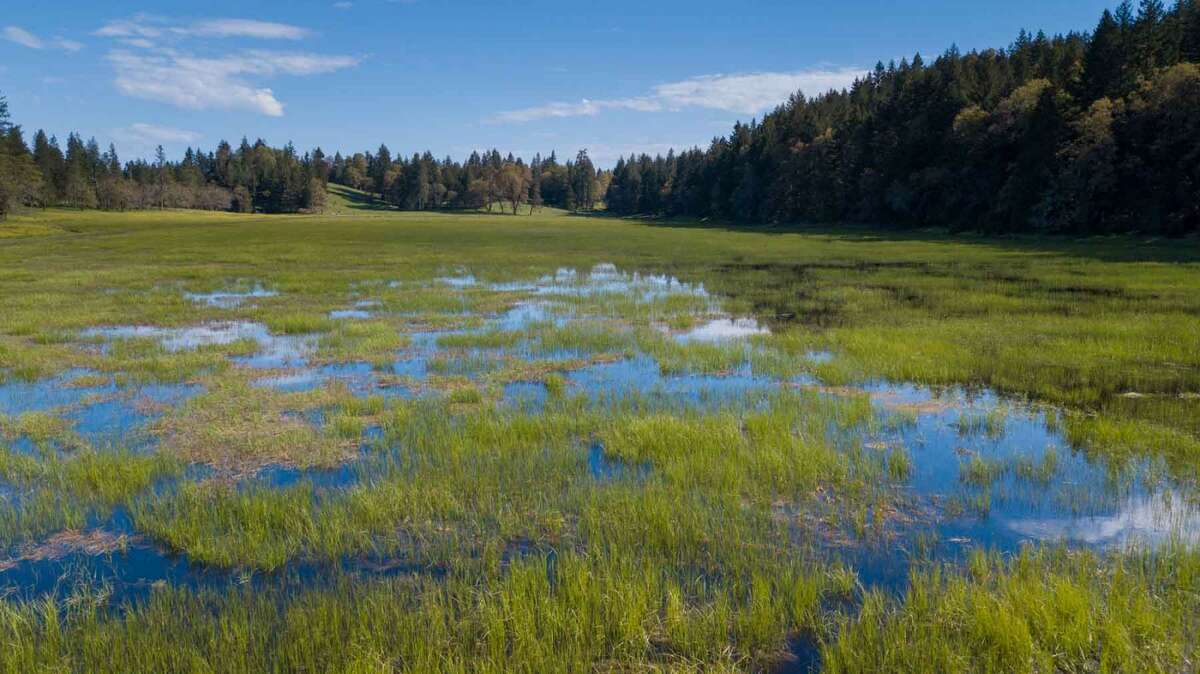 Northern California ranch, nearly the size of San Francisco, listed for ...