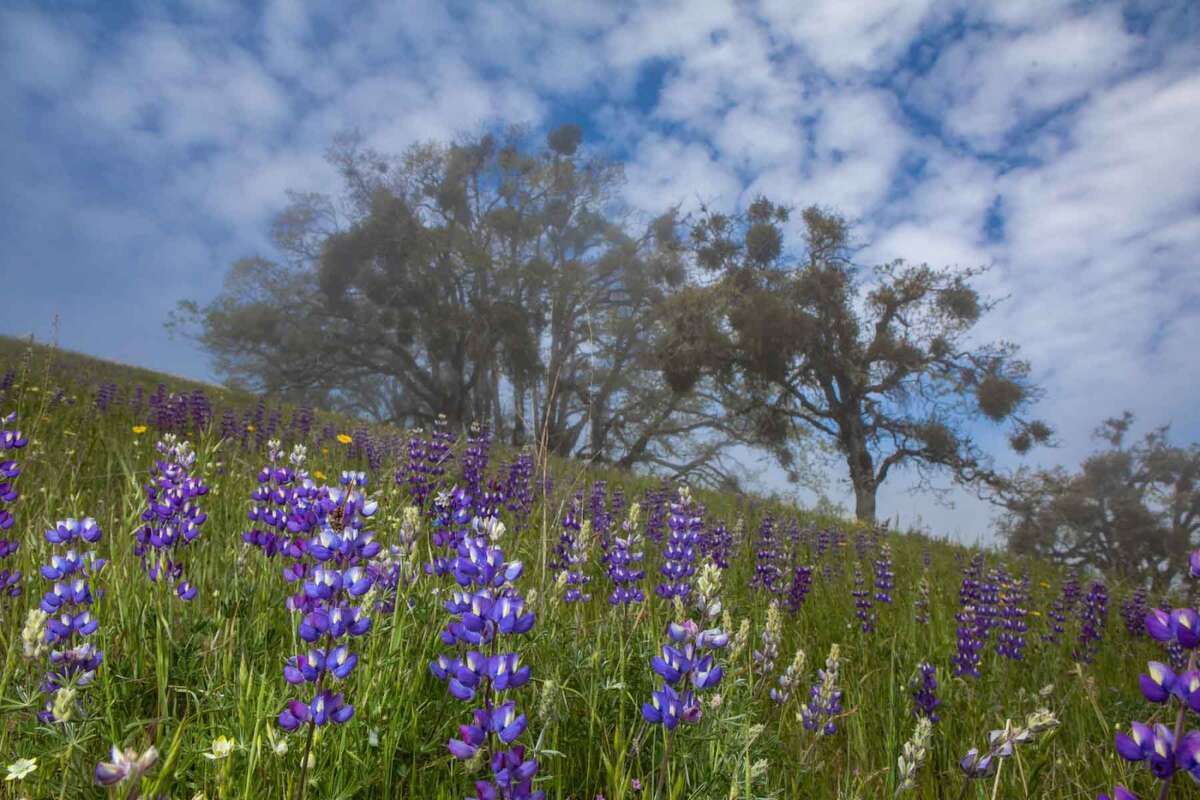 Northern California ranch, nearly the size of San Francisco, listed for ...