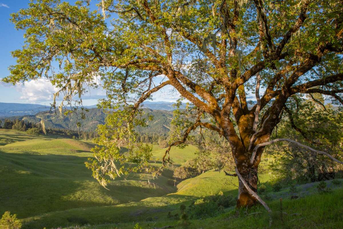 Northern California ranch, nearly the size of San Francisco, listed for ...