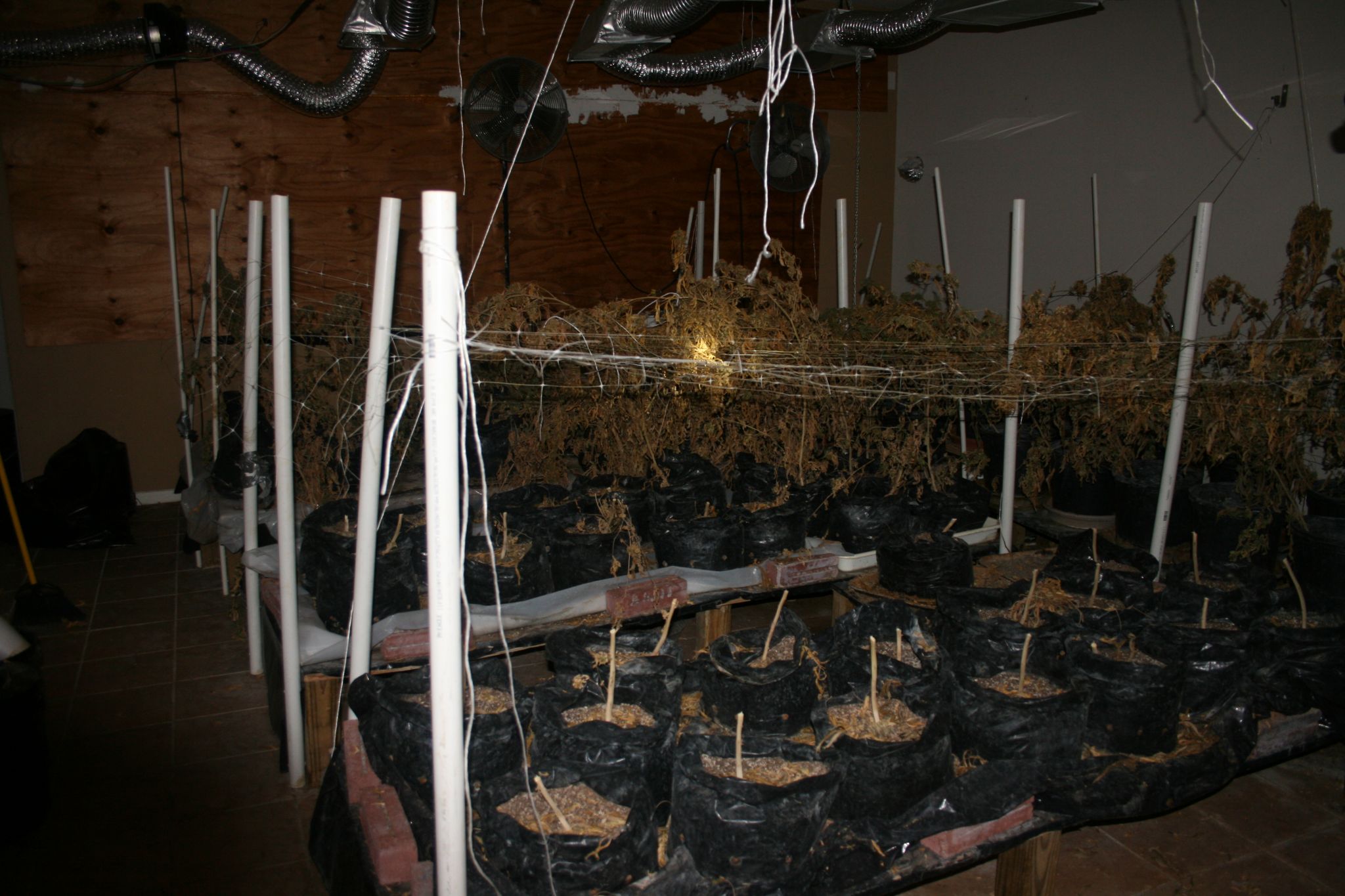 Houston family's 'perfect home' turned out to be a former marijuana ...