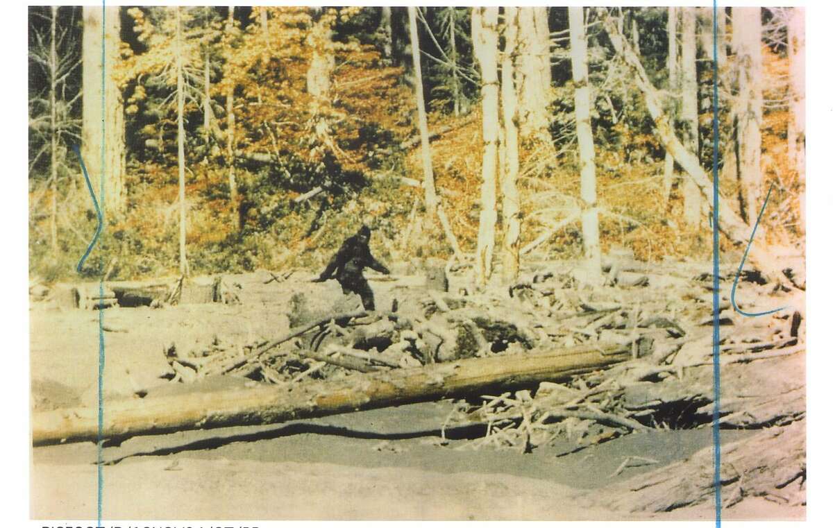 Gone ‘squatchin’: How to hunt for Bigfoot