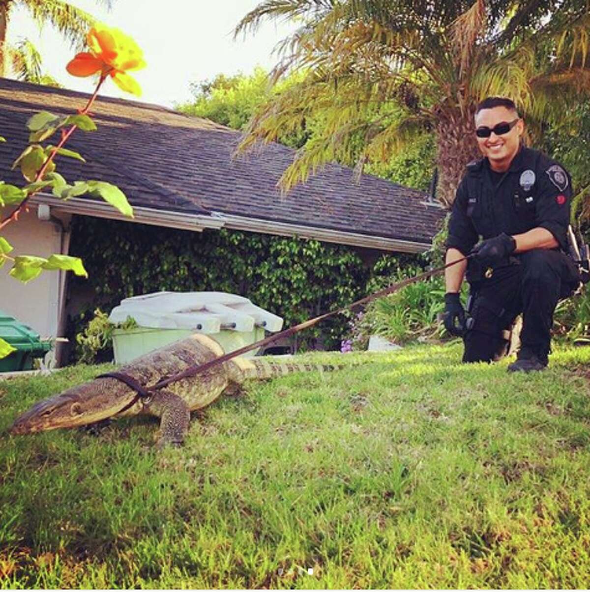 This SF story explains why Sharon Stone was so freaked out to spot a ...