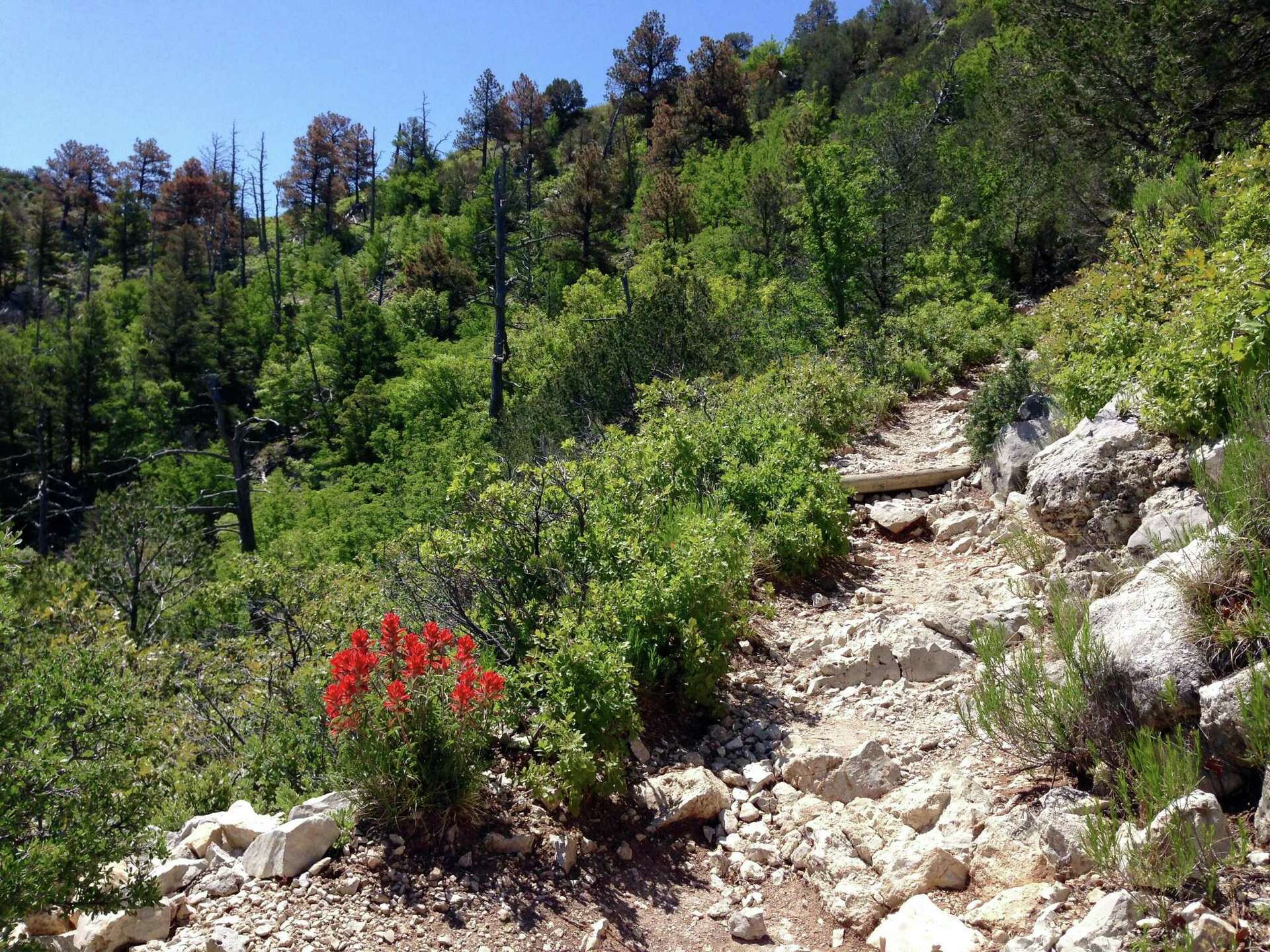 The top 6 hikes in Texas state parks