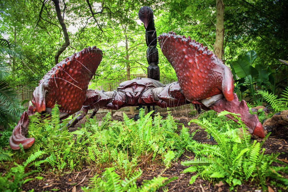 Big bugs come back to the Houston Zoo