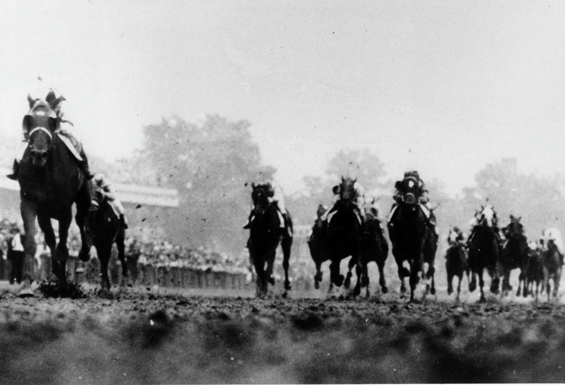 A daughter of the King Ranch recalls a Triple Crown