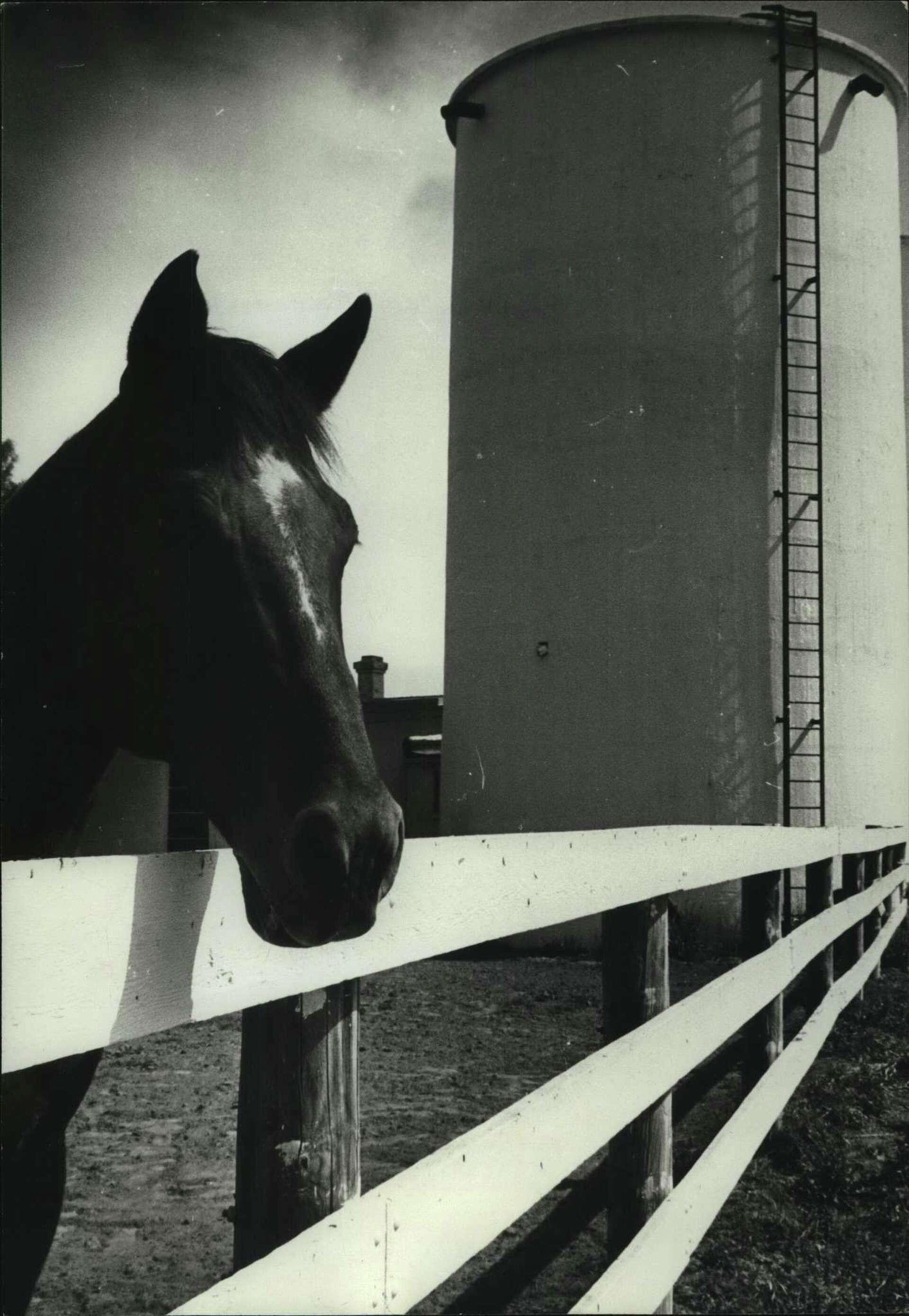 A daughter of the King Ranch recalls a Triple Crown